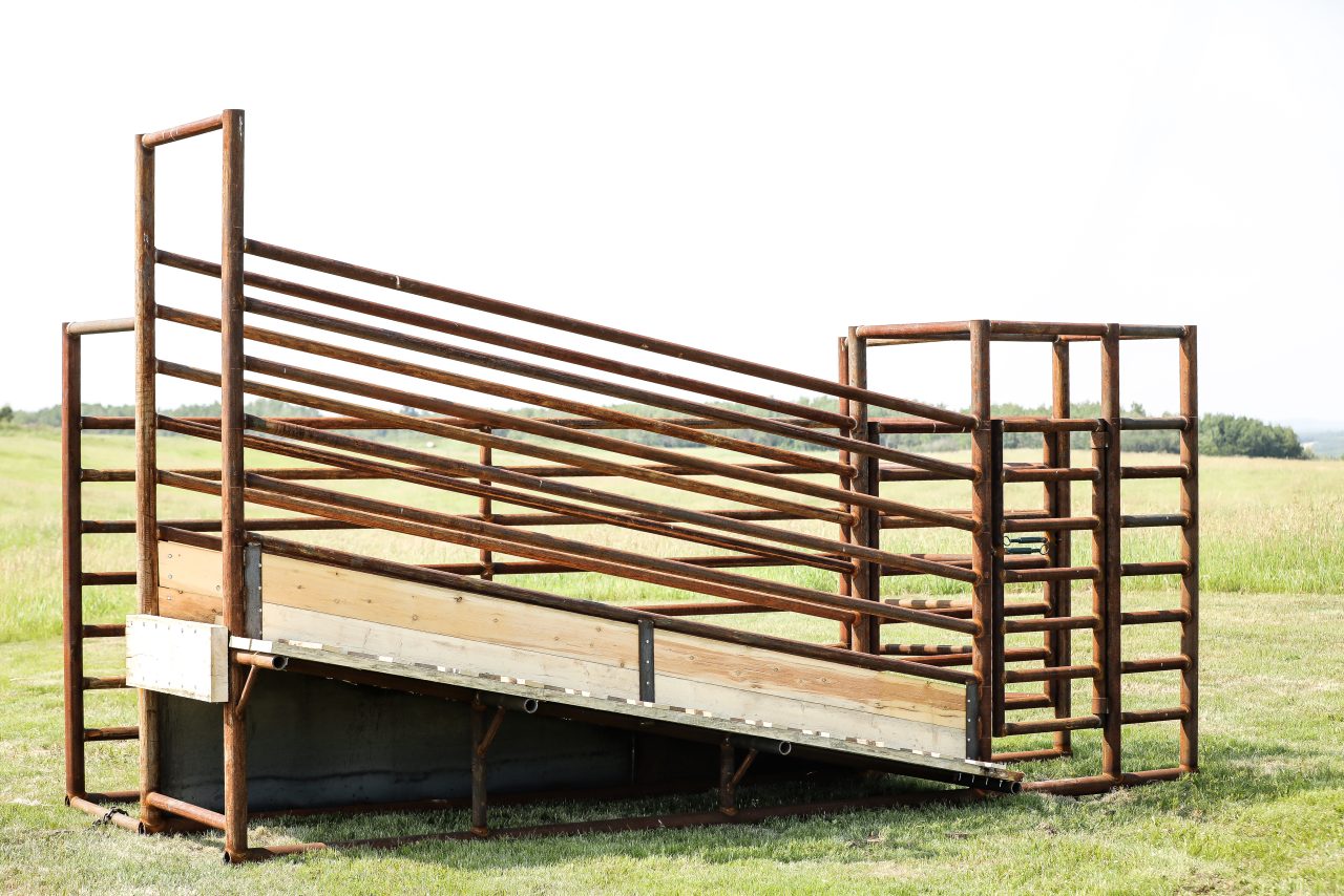 Double Deluxe Loading Chute - Klassen Industries