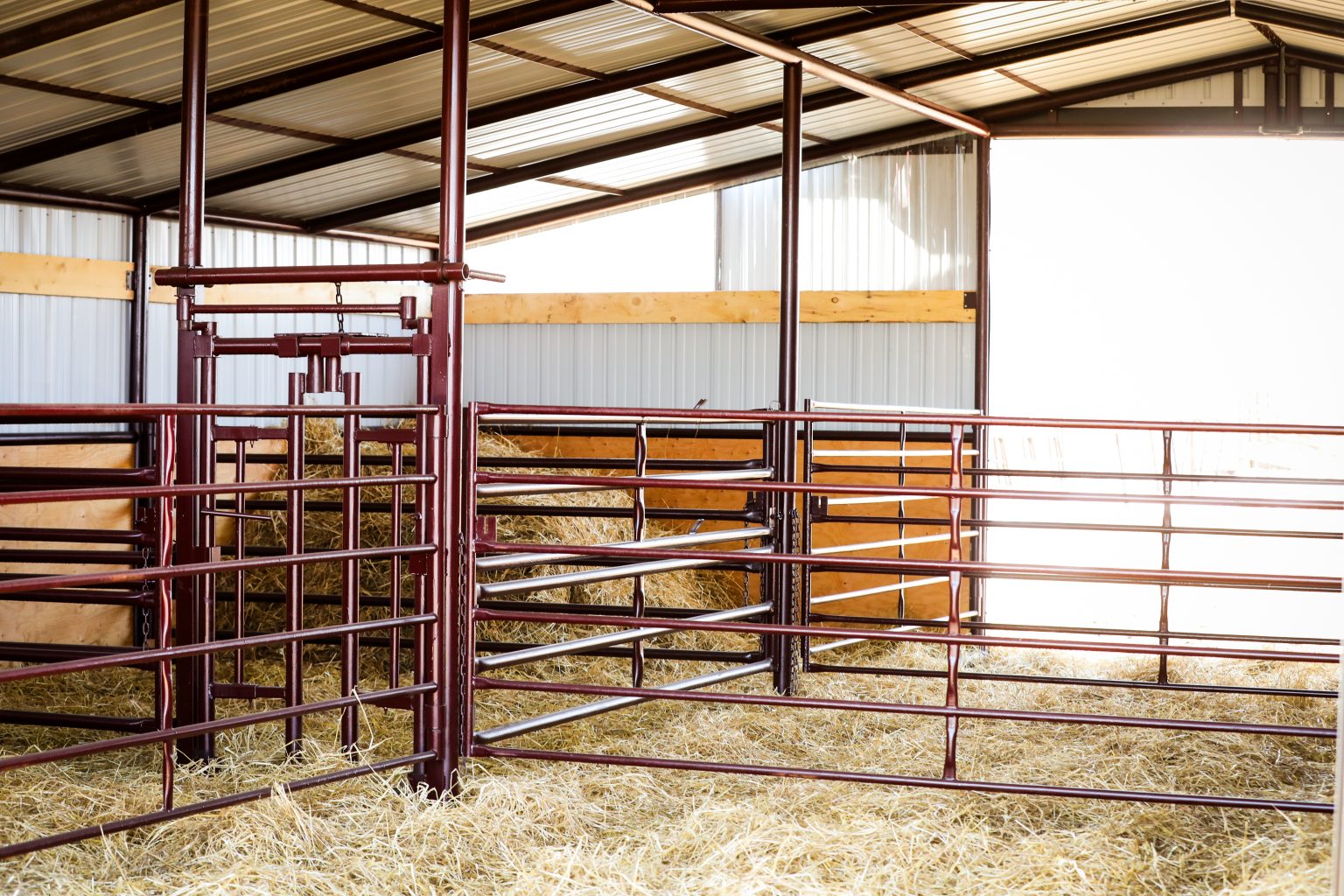 36’ Cattle Barn - Complete Maternity Pen & Pens - Klassen Industries