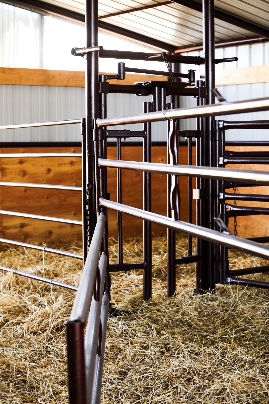 36’ Cattle Barn - Complete Maternity Pen & Pens - Klassen Industries