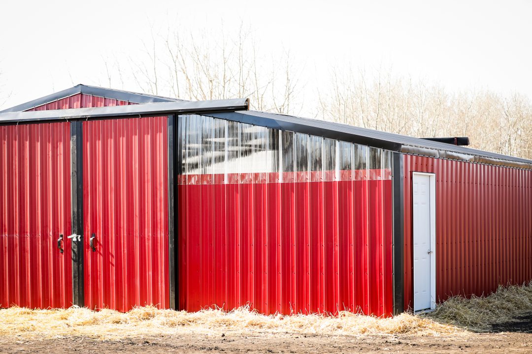 36’ Cattle Barn - Complete Maternity Pen & Pens - Klassen Industries