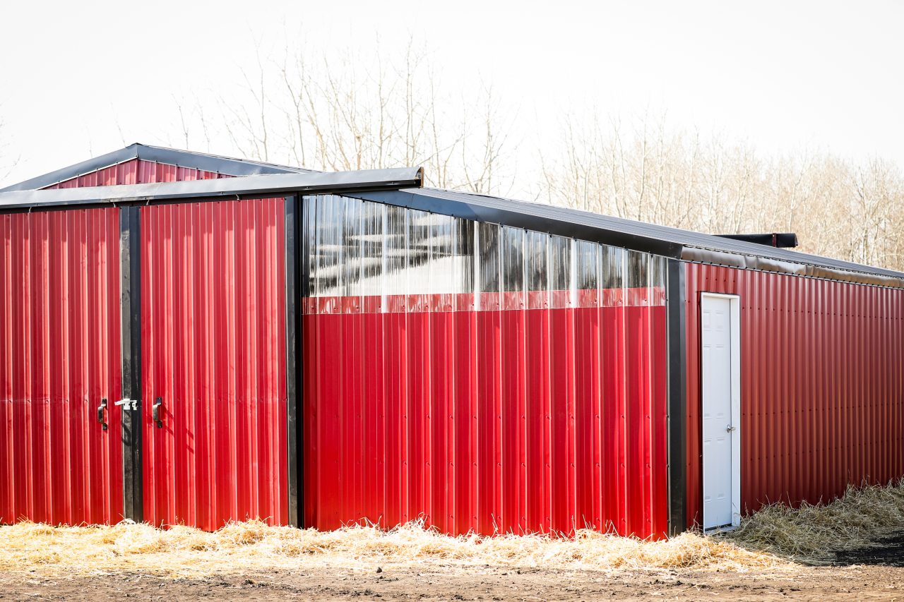 36’ Cattle Barn - Complete Maternity Pen & Pens - Klassen Industries