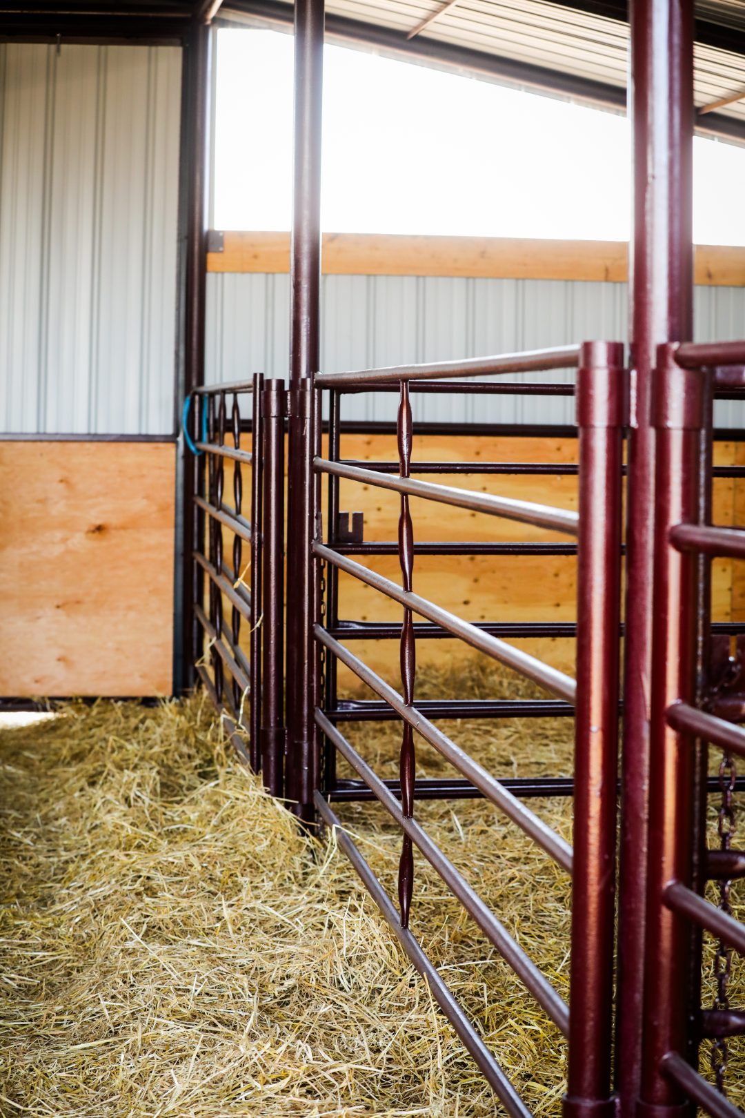 36’ Cattle Barn - Complete Maternity Pen & Pens - Klassen Industries